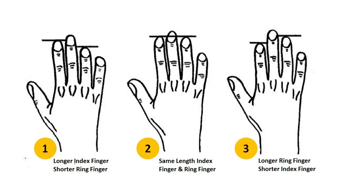 Your Fingers Can Tell You a Lot About Your Personality. What Kind of ...